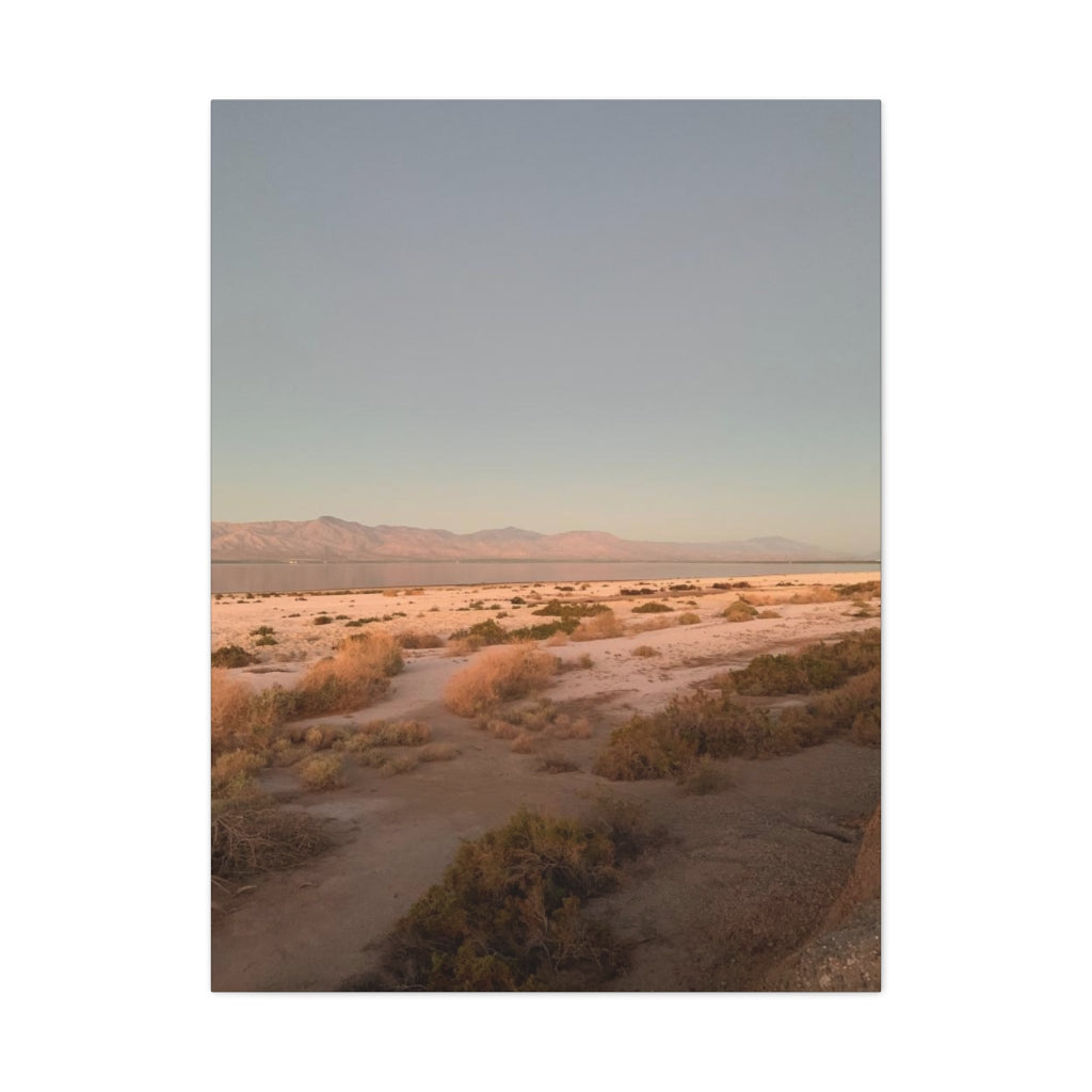 Photo Canvas Print - Beach Scape, Salton Sea, California | Laura Byrne ...